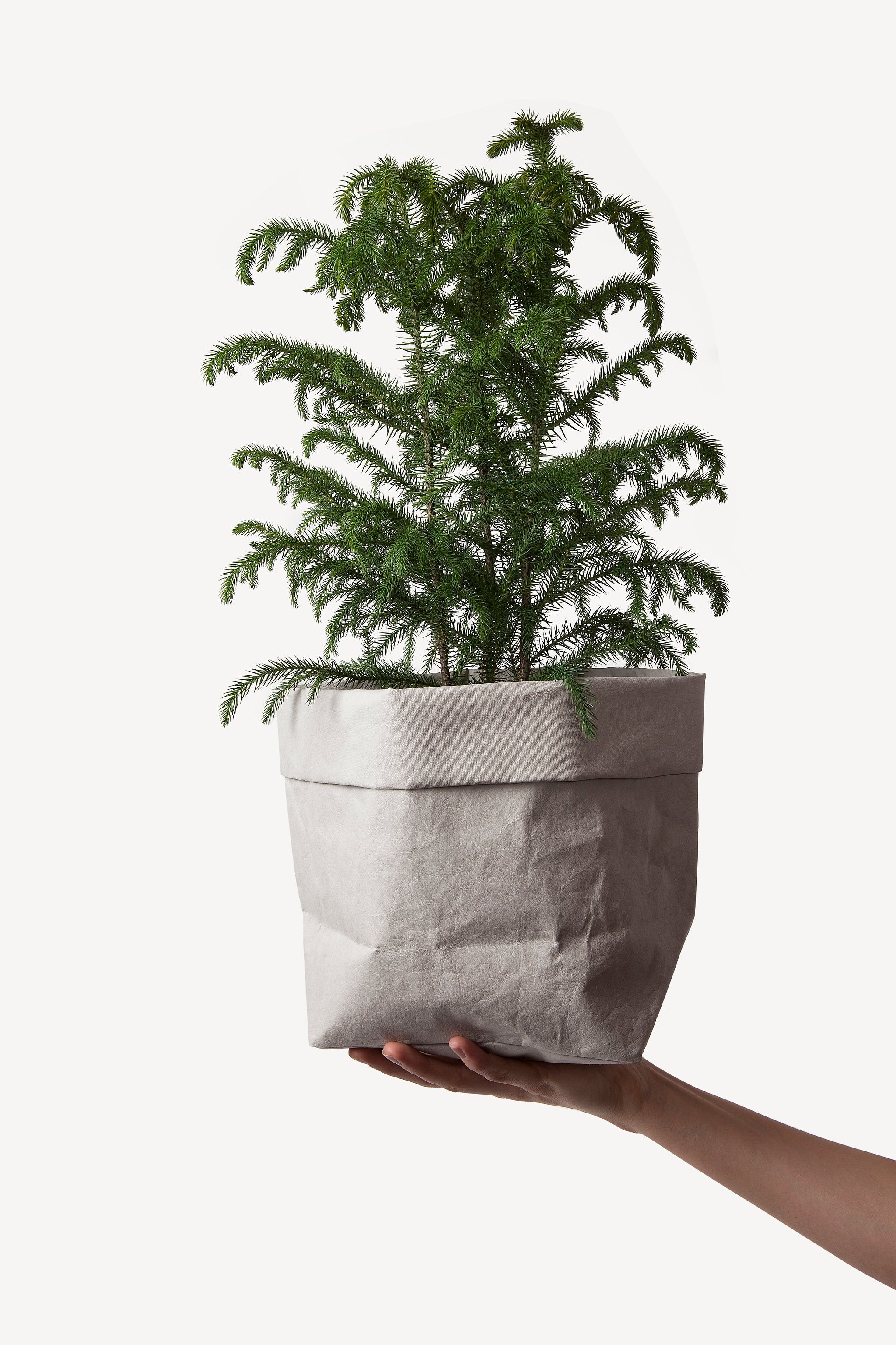 Large Washable Paper Bag - Sustainable, Eco-Friendly Storage ...